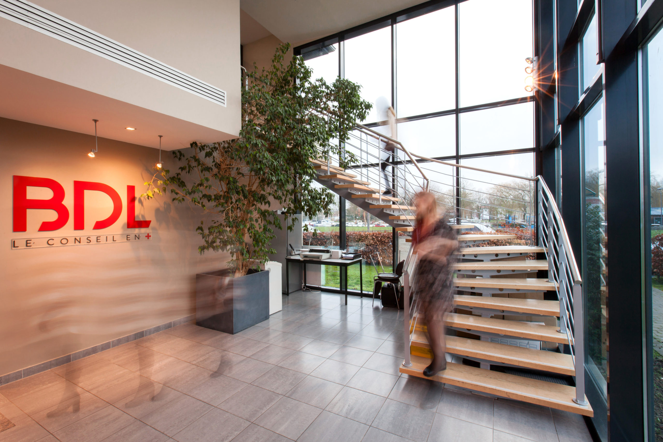 Social – BDL, Le conseil en